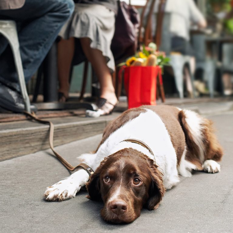 #1 Tip for More Patience - Virtue Connection