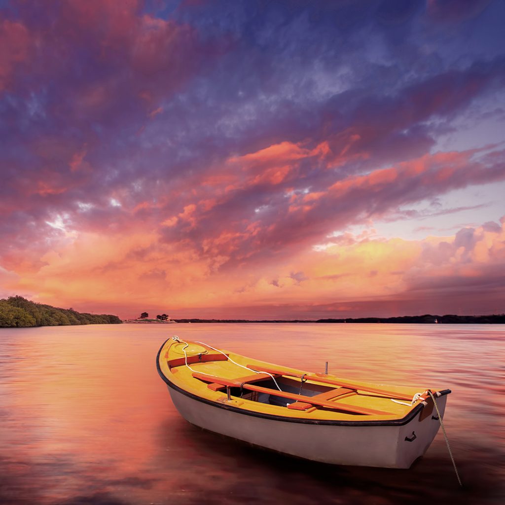 The Day I Survived Psalm 107 Virtue Connection The Day I Survived Psalm 107 Virtue Connection